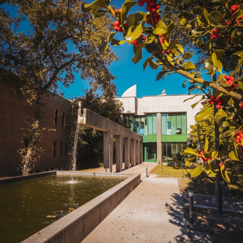 P.PORTO | Ensino Superior Público